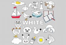 Teach Kids About The Things That Are White In Colour