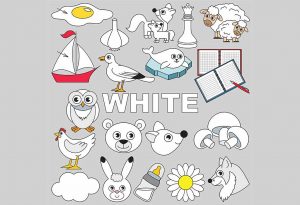 Teach Kids About The Things That Are White In Colour