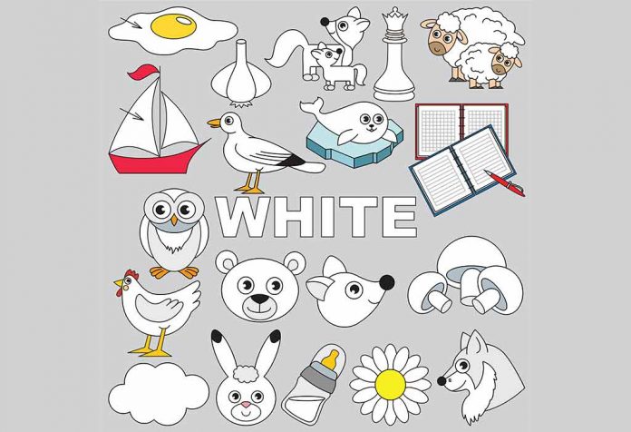 Teach Kids About The Things That Are White In Colour