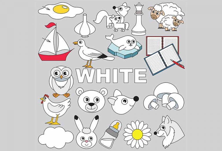 Teach Kids About The Things That Are White In Colour