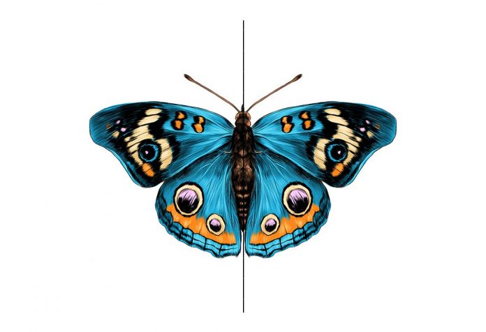 Symmetry Activities For Preschoolers To Build Maths Skills