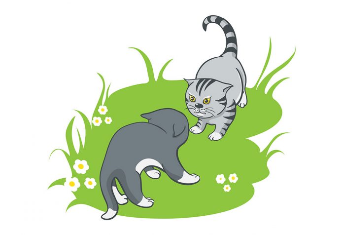 Two Cats And A Monkey Story For Children With Moral