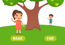 Near And Far Concept For Preschoolers And Kids