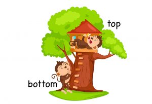 Top, Bottom And Middle Concept For Preschoolers