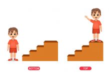 Top, Bottom And Middle Concept For Preschoolers