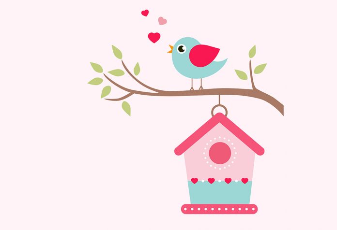 Up And Down Concept For Preschoolers And Kids