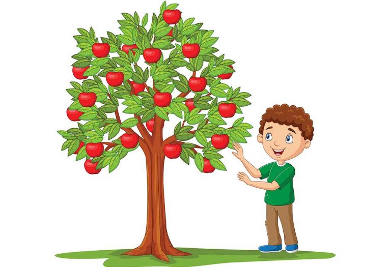 The Giving Tree Story For Children