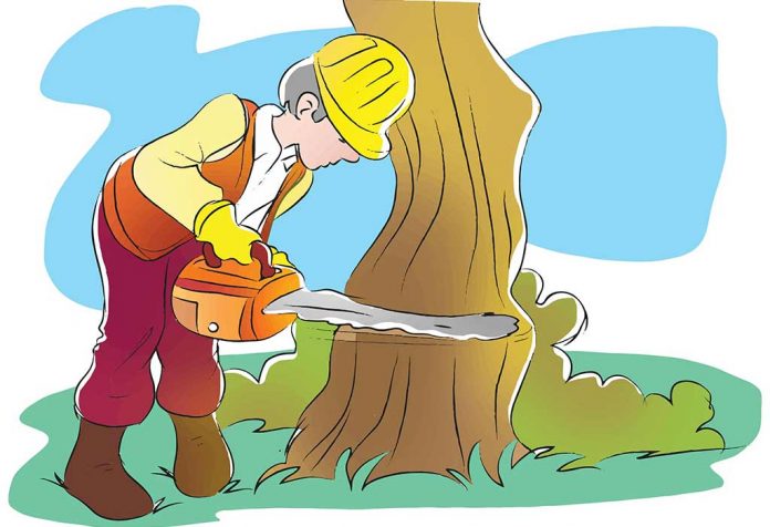 The Giving Tree Story For Children