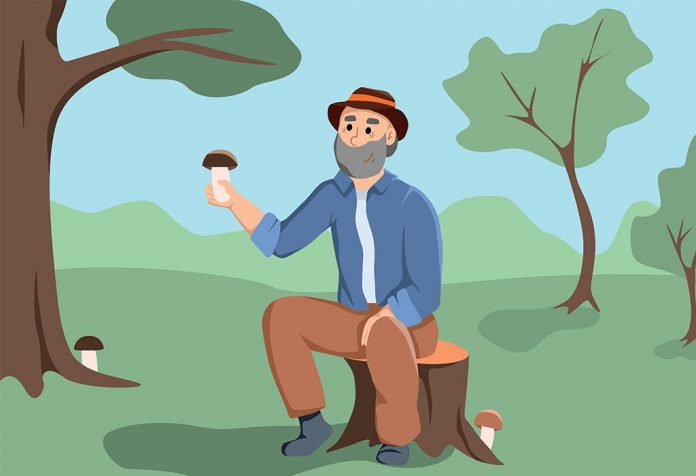 The Giving Tree Story For Children