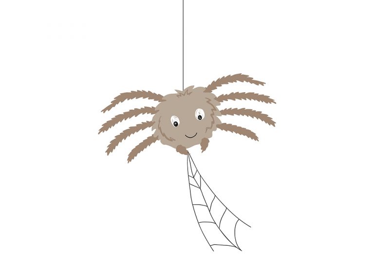 King Bruce And The Spider Story For Children With Moral