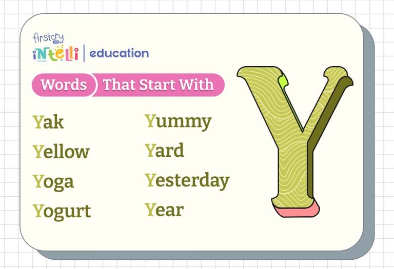Words That Start With Y - Learn Y Words for Kids in English