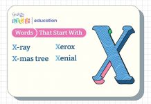 Words That Start With X - Learn X Words for Kids in English