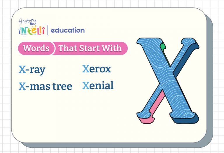 Words That Start With X - Learn X Words for Kids in English