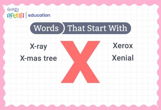 Words That Start With X - Learn X Words for Kids in English