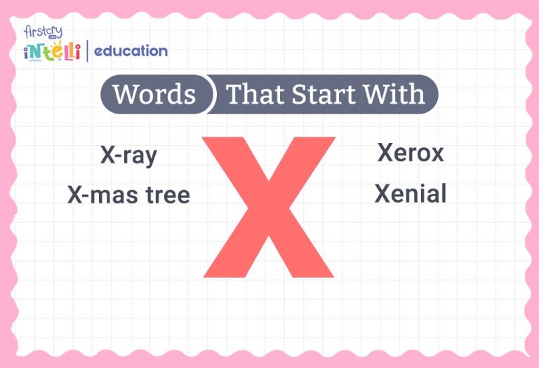 Words That Start With X - Learn X Words for Kids in English