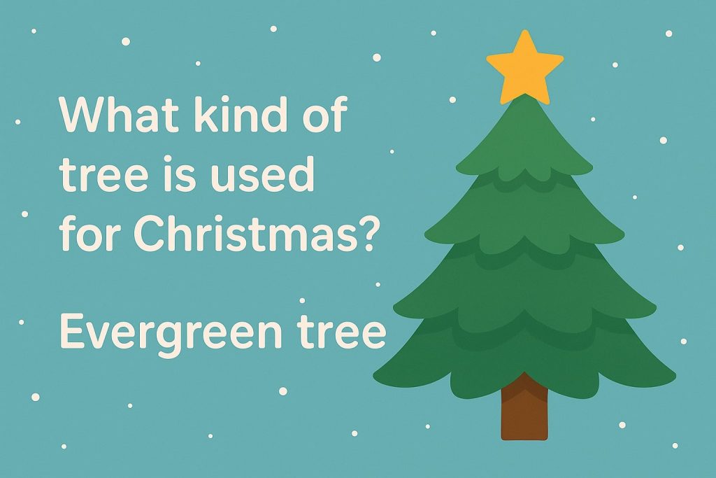 100 Christmas Trivia Questions for Kids with Answers - Easy & Funny