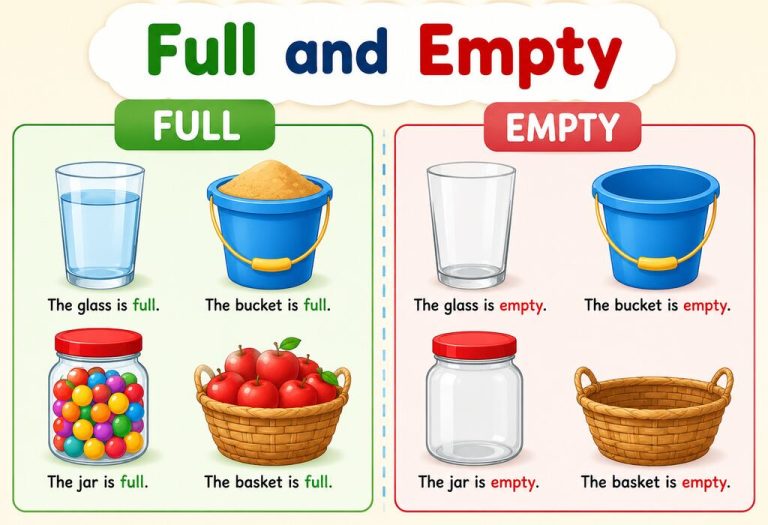 Full And Empty Concept with Examples & Worksheet