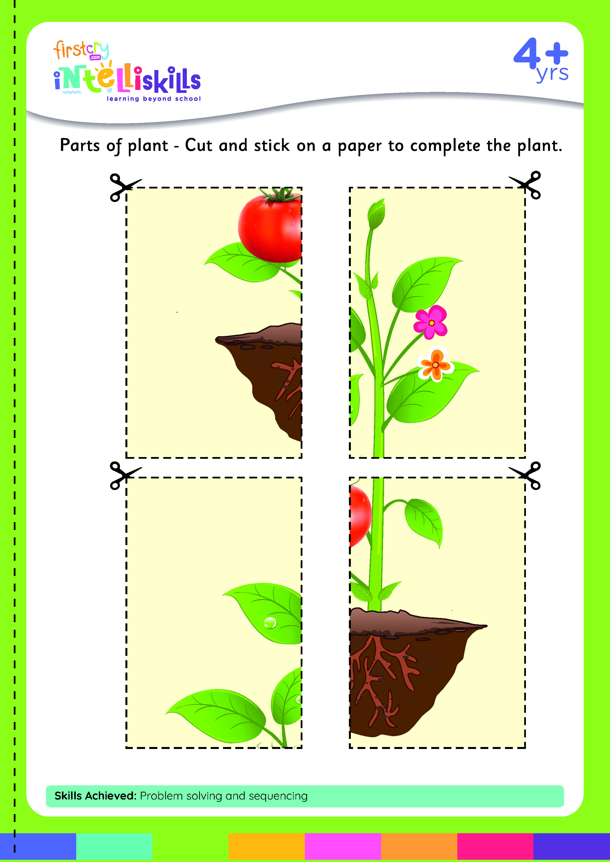 Parts Of Plants Worksheets For Kids